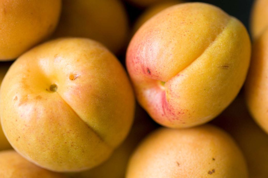 How to make apricot jam | Homesick Texan